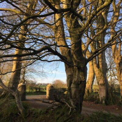 Breckenhill | Weddings and Events Venue in County Antrim