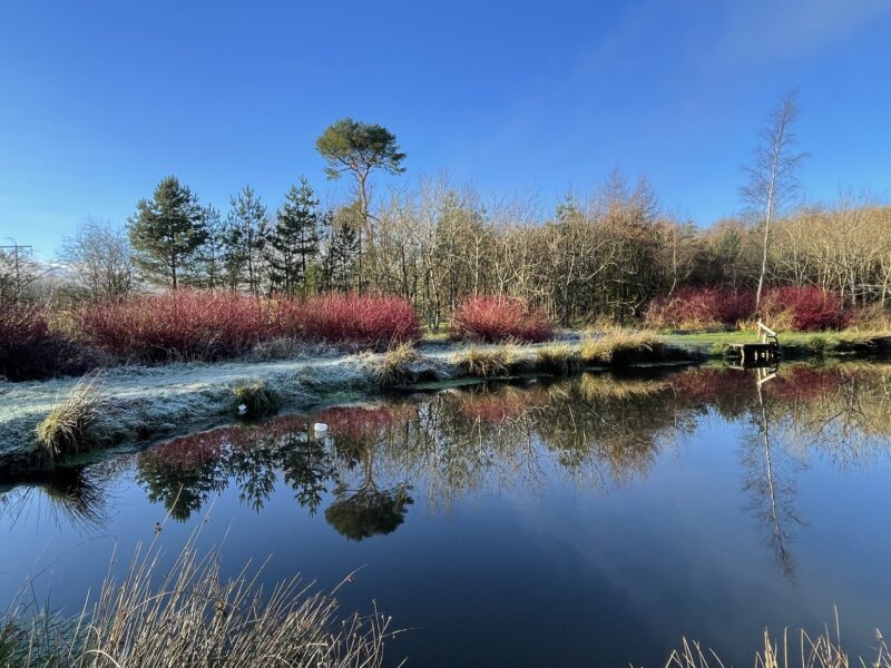 Breckenhill | Weddings and Events Venue in County Antrim