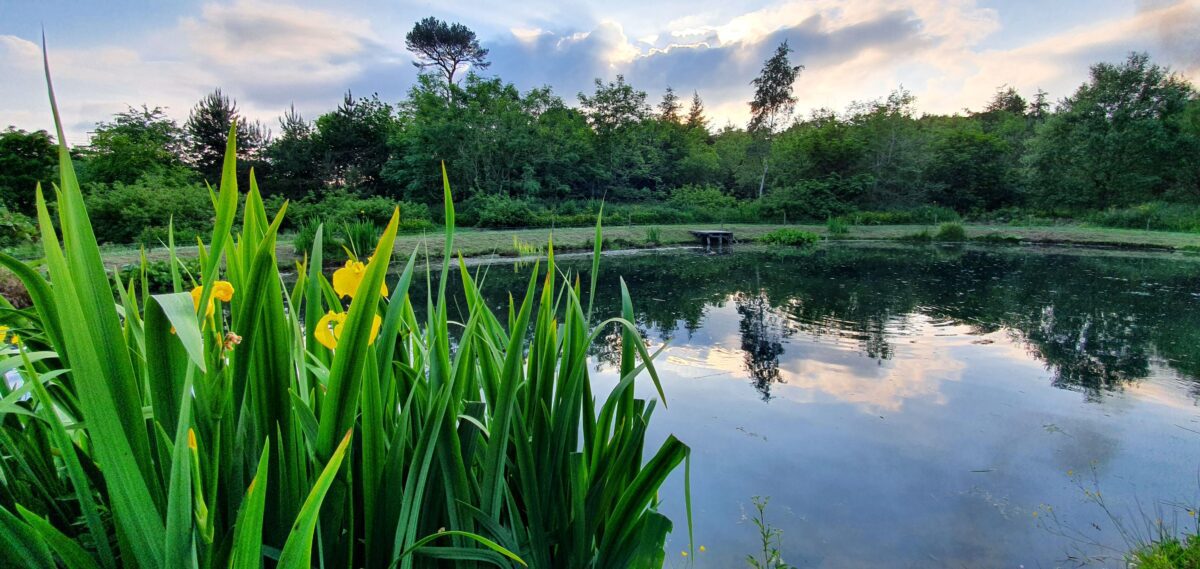 Breckenhill | Weddings and Events Venue in County Antrim